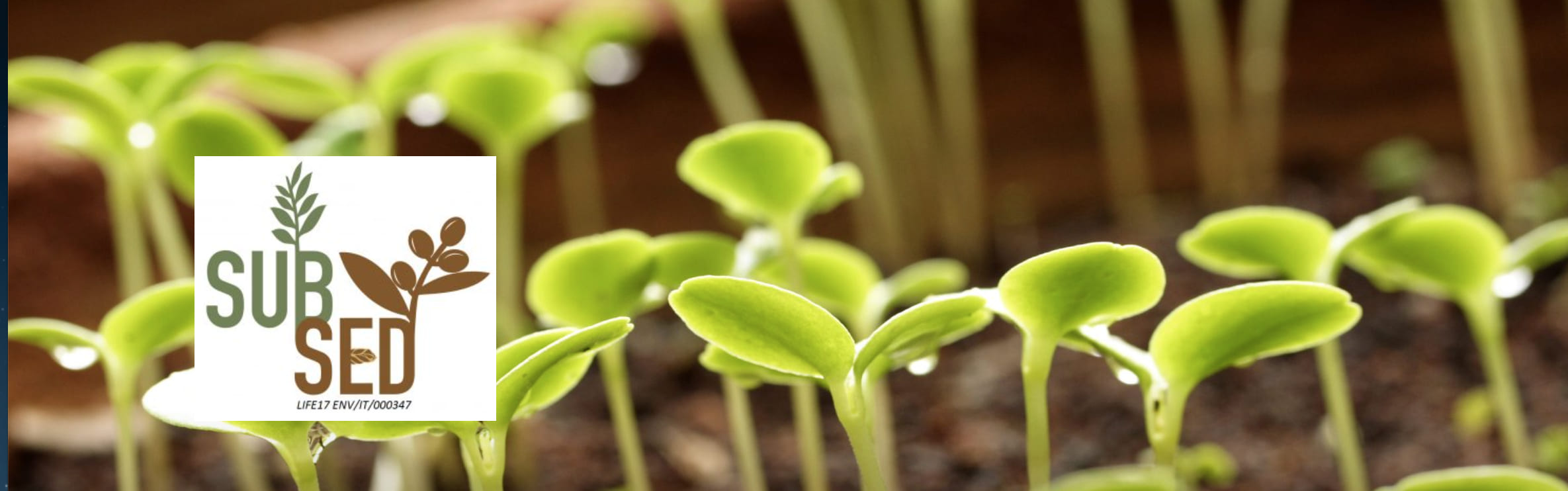 I Workshop “SUBSED: Sustratos sostenibles para la agricultura a partir ...