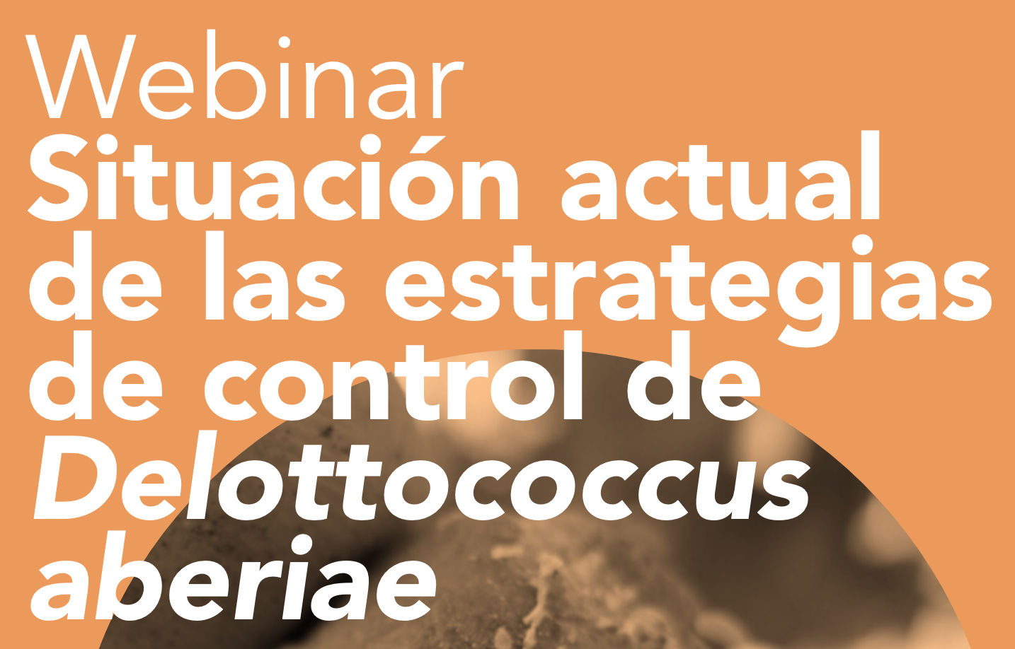 Webinar Situación actual de las estrategias de control de Delottococcus ...